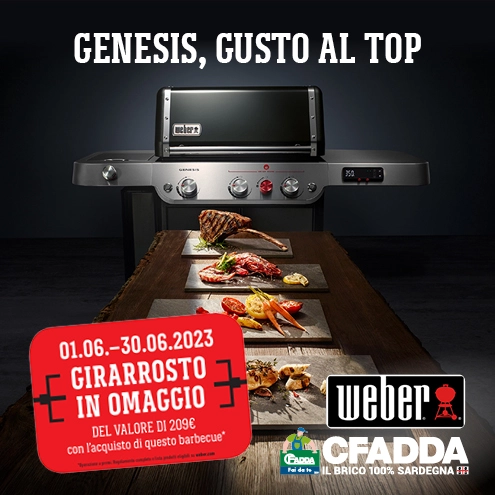 Barbecue Weber Genesis con Girarrosto Omaggio